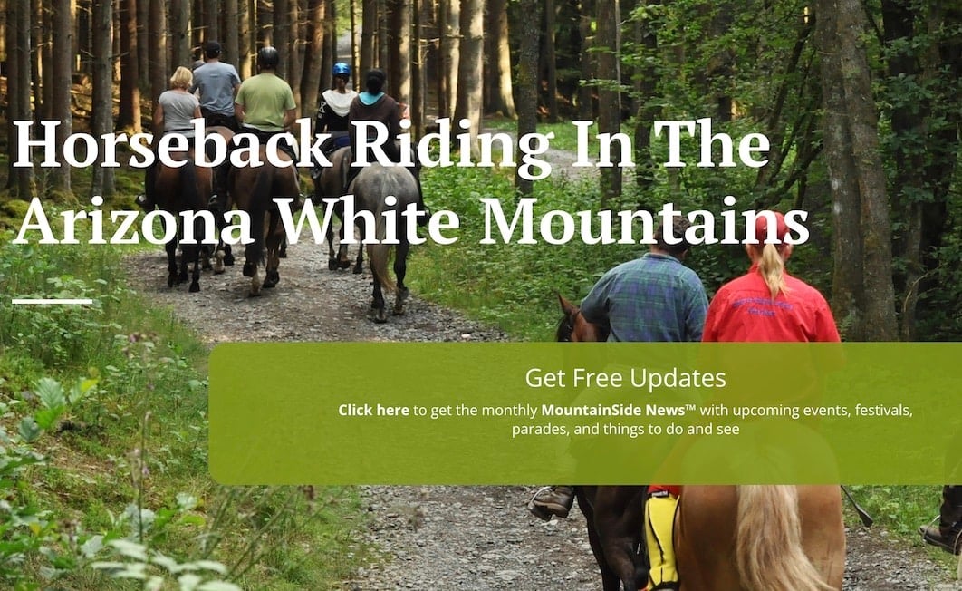 Best Horseback Riding In Arizona White Mountains - Events | Things To ...
